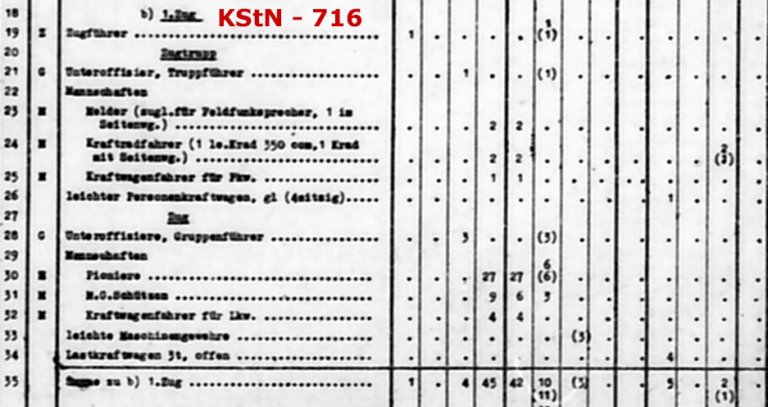 German Assault Engineer Battalion Organization - Sturmpanzer.com
